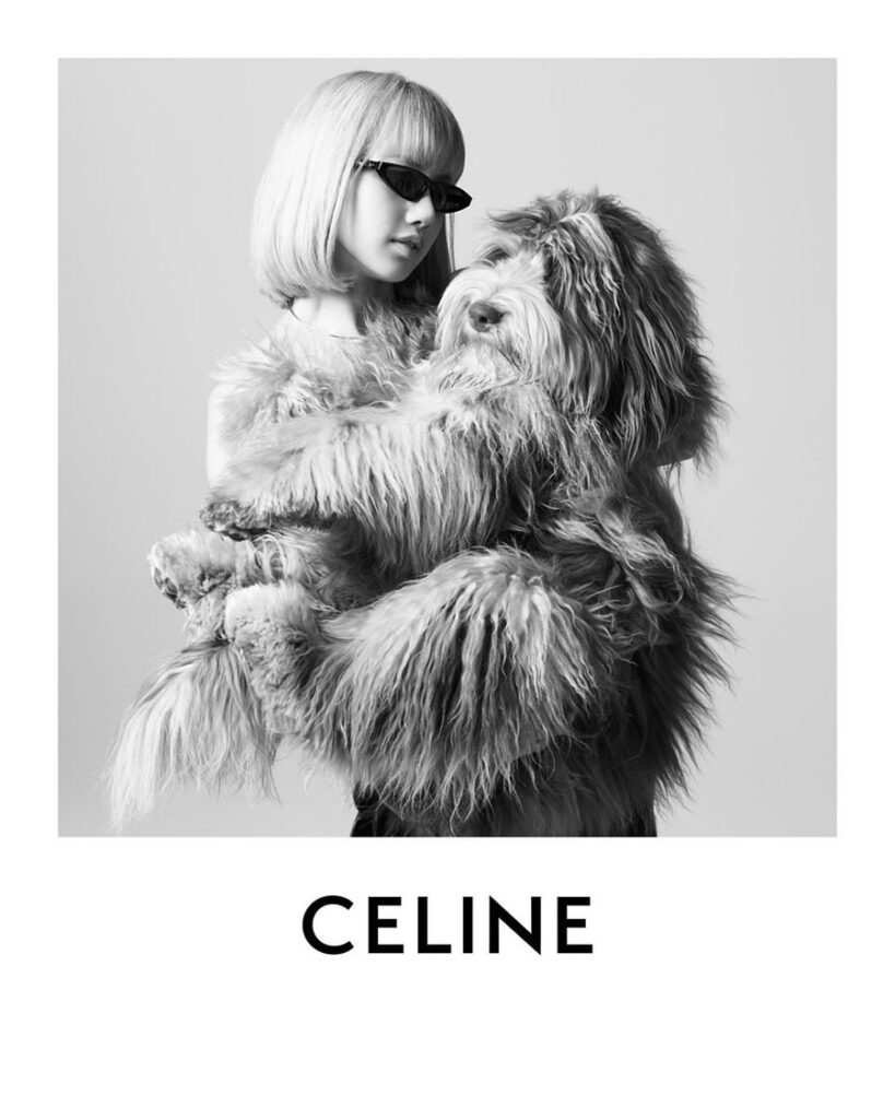 LISA x CELINE “Collection of Saddles and Accessories for Dogs ...