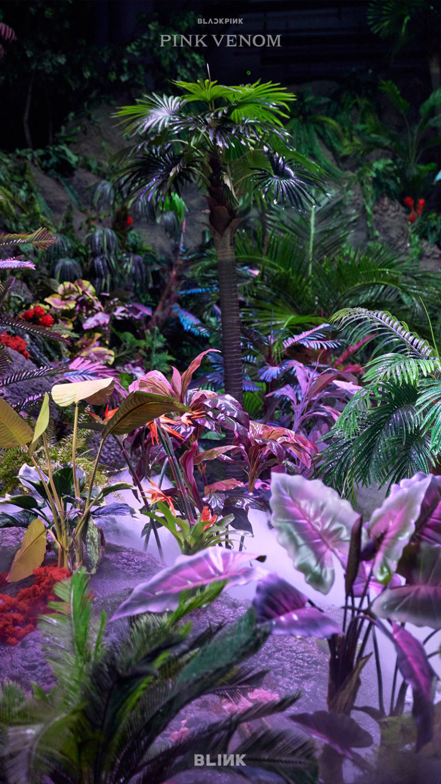BLACKPINK “Pink Venom” Wallpaper for BLINK – BLACKPINK CAFÉ