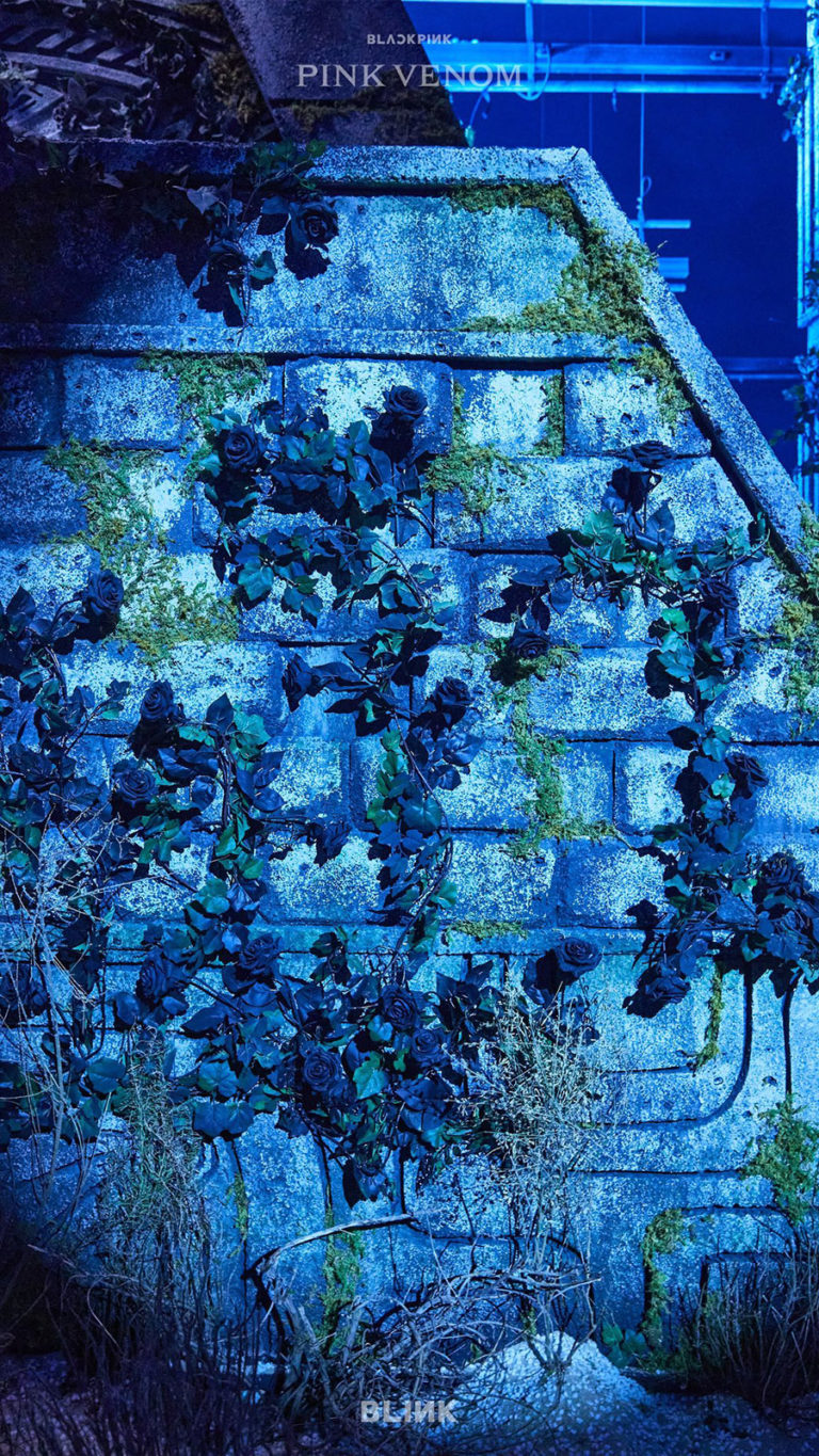 BLACKPINK “Pink Venom” Wallpaper for BLINK – BLACKPINK CAFÉ